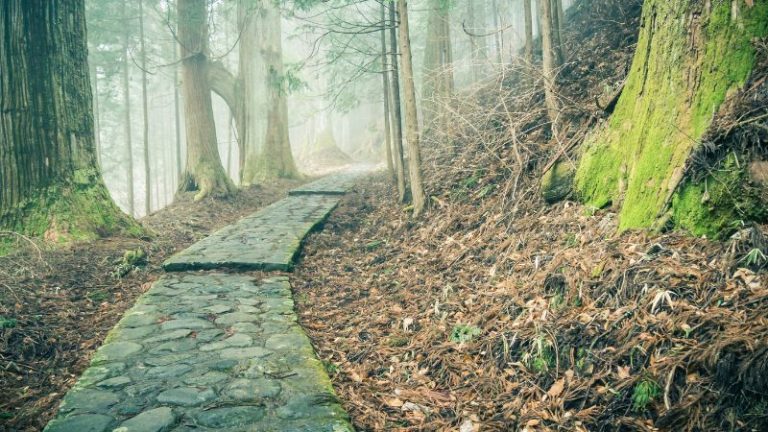 Parchi Naturali del Giappone | Gli 8 più belli |Ascot Viaggi